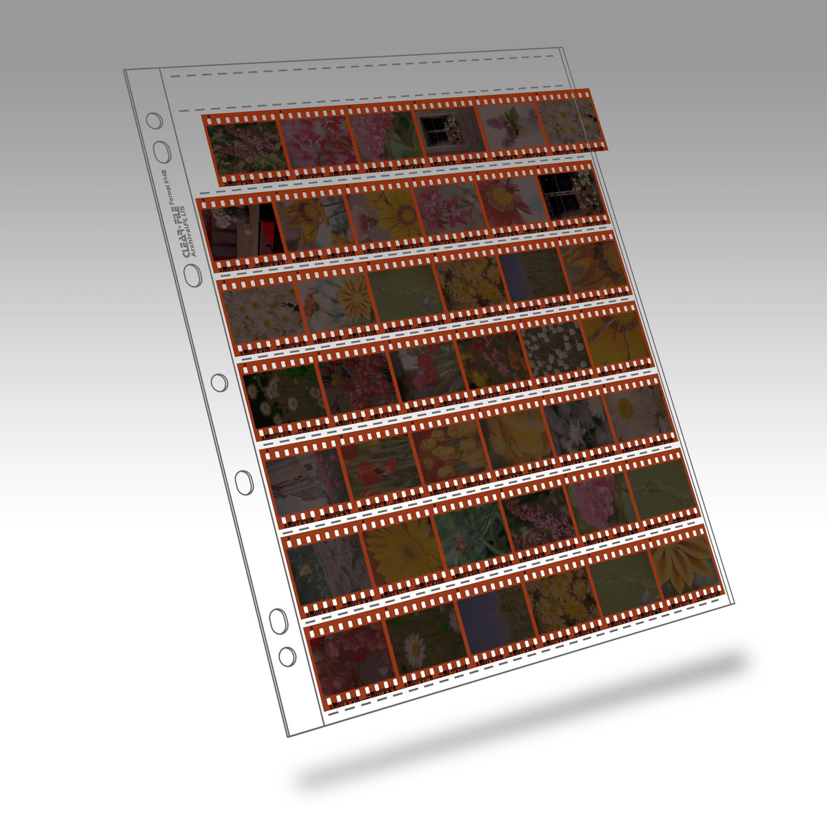 ClearFile 35mm Negative sleeves – Camera Film Photo Limited #ENJOYFILM